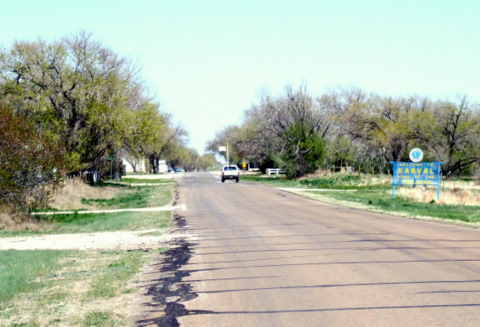 See Mountain Plovers in Karval, Colorado – Mountain Plover