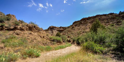 Exploring Corral Bluffs – Mountain Plover