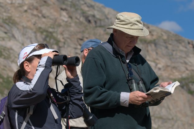 The AOU’s 2019 Bird List – Mountain Plover